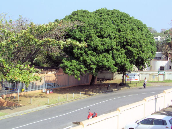 Holiday Accomodation – Uvongo Square 4 « Seefront Holidays